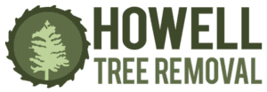 Waynesville Tree Removal | Waynesville Landscaping